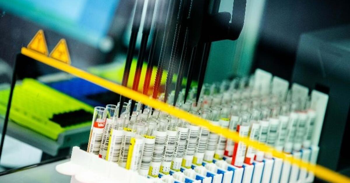 The lesser known uses of donated blood and plasma | Sanquin