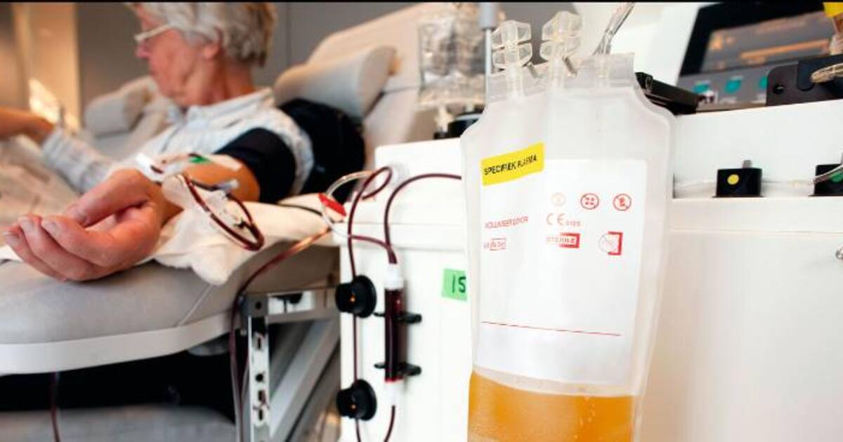Sanquin starts collecting plasma from cured corona patients | Sanquin